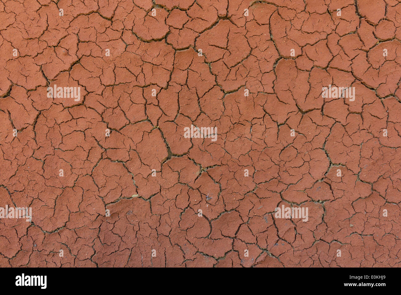 Ground texture hi-res stock photography and images - Alamy