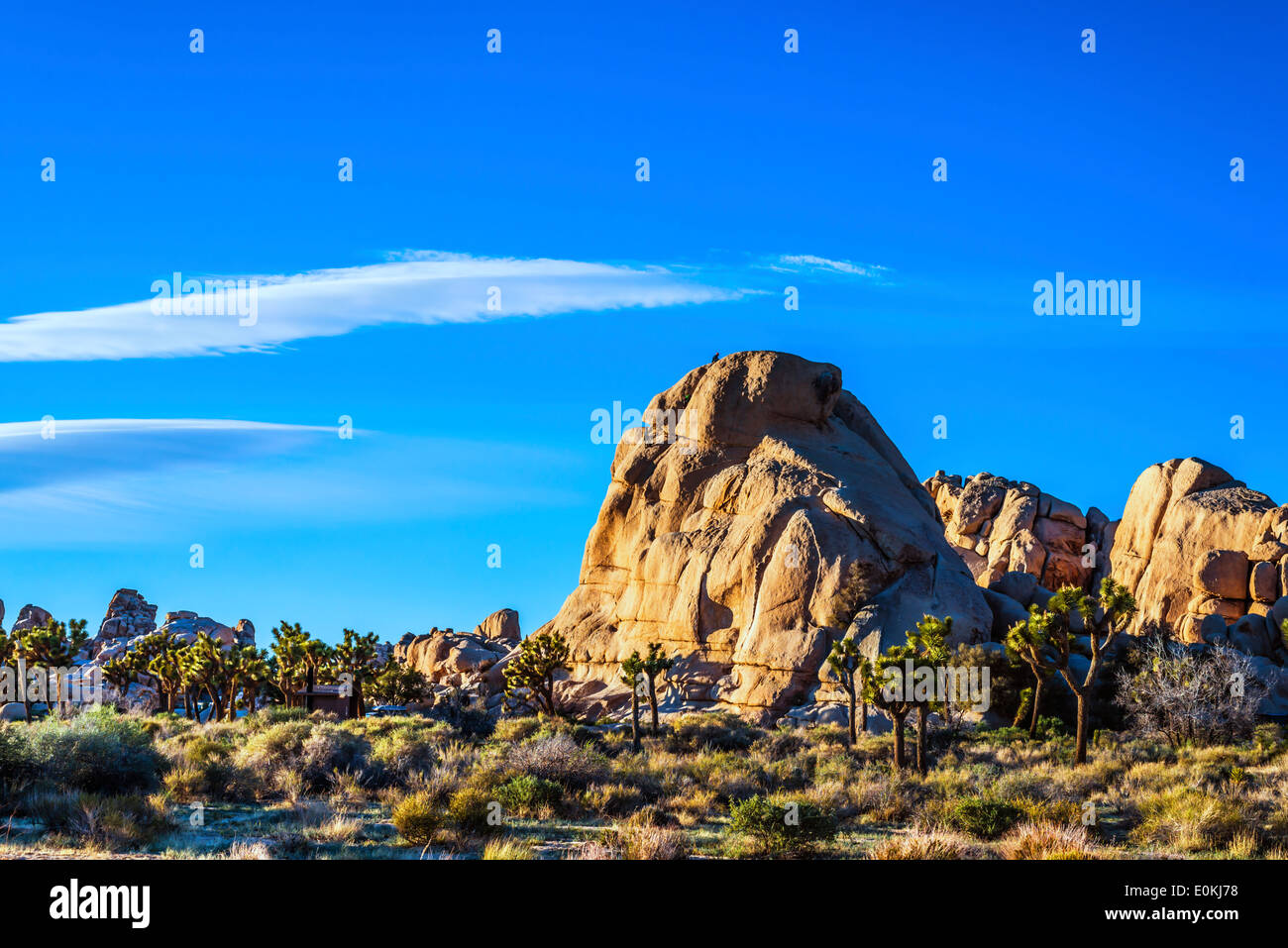 Stones joshua tree national park hi-res stock photography and images ...