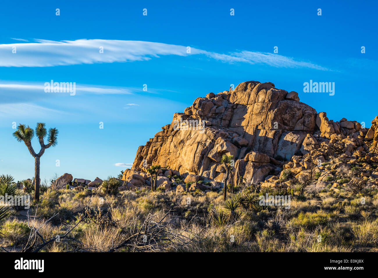 Stones joshua tree national park hi-res stock photography and images ...