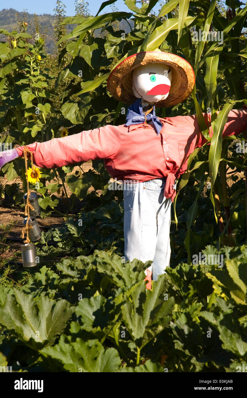 Scarecrow, Southern Oregon Research & Extension Center, Jackson County ...