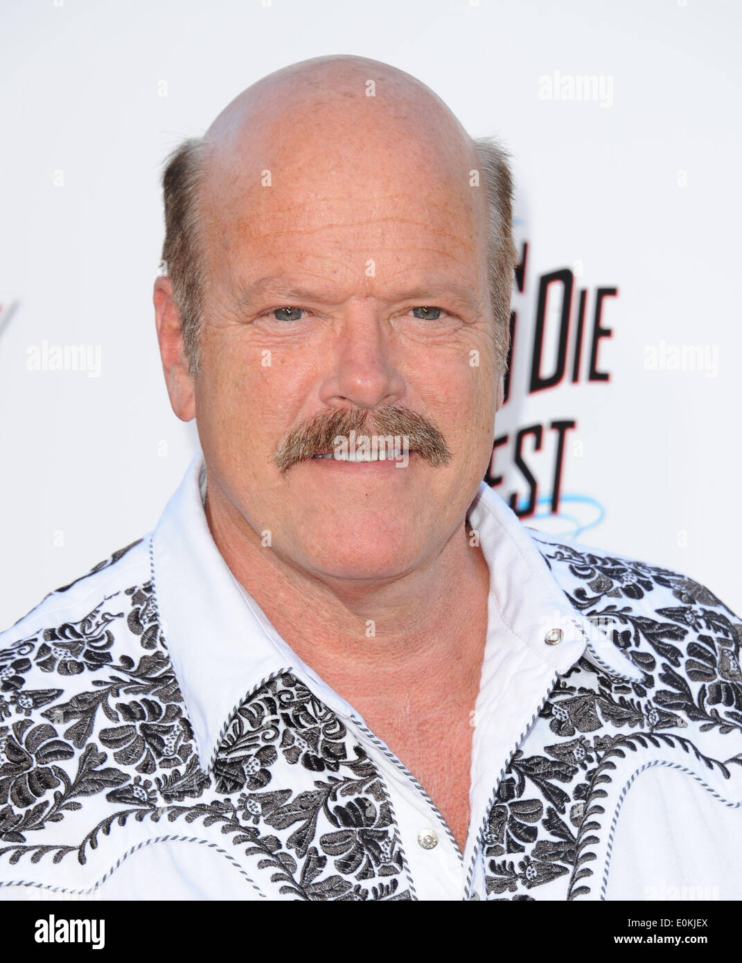 Los Angeles, California, USA. 15th May, 2014. Rex Linn attending the ...