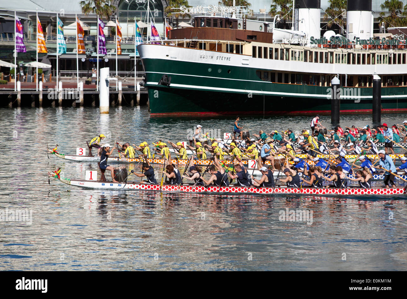 Dragon Boat Racing, Darling Harbor, Sydney, Australia Stock Photo - Alamy