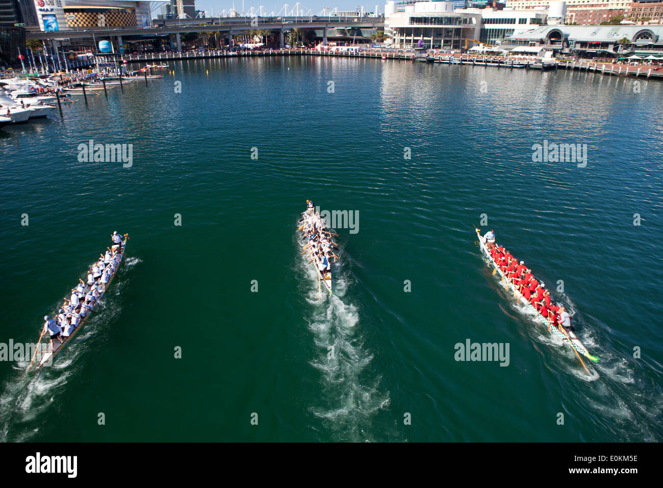 Dragon Boat Racing, Darling Harbor, Sydney, Australia Stock Photo - Alamy