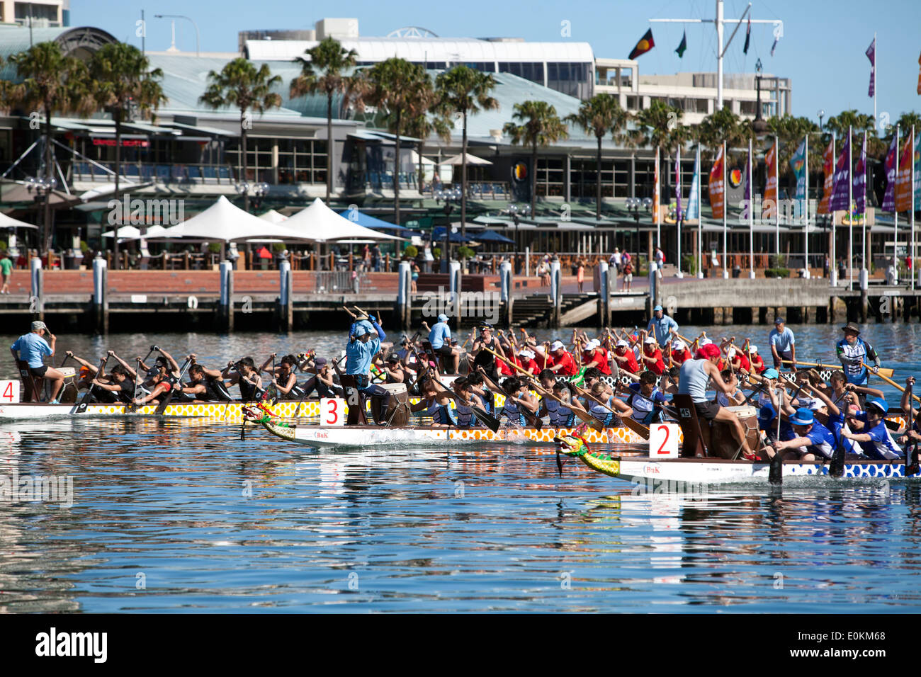 Dragon Boat Racing, Darling Harbor, Sydney, Australia Stock Photo - Alamy