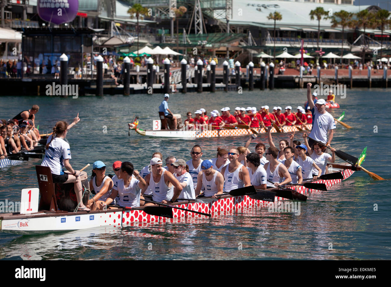 Dragon Boat Racing, Darling Harbor, Sydney, Australia Stock Photo - Alamy