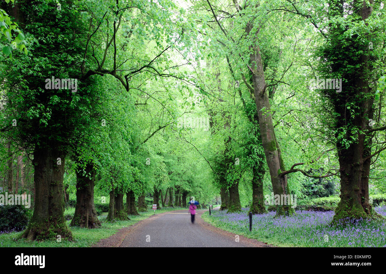 Virginia Park Lodge Avenue, County Cavan, Ireland Stock Photo - Alamy