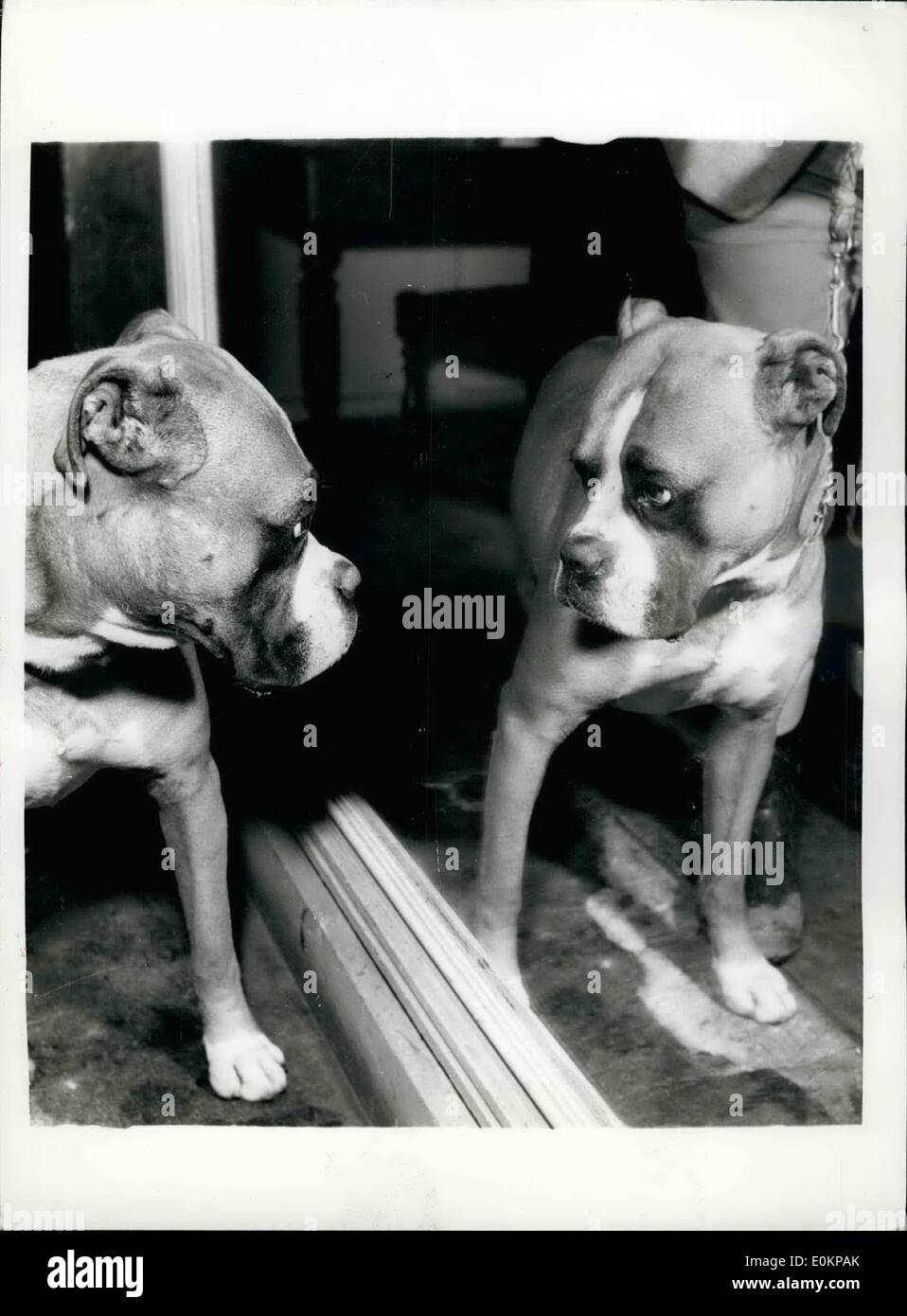 Apr. 04, 1935 - PSYCHIATRY FOR BUTCH, THE BITING BOXER BUTCH, A FOUR ...