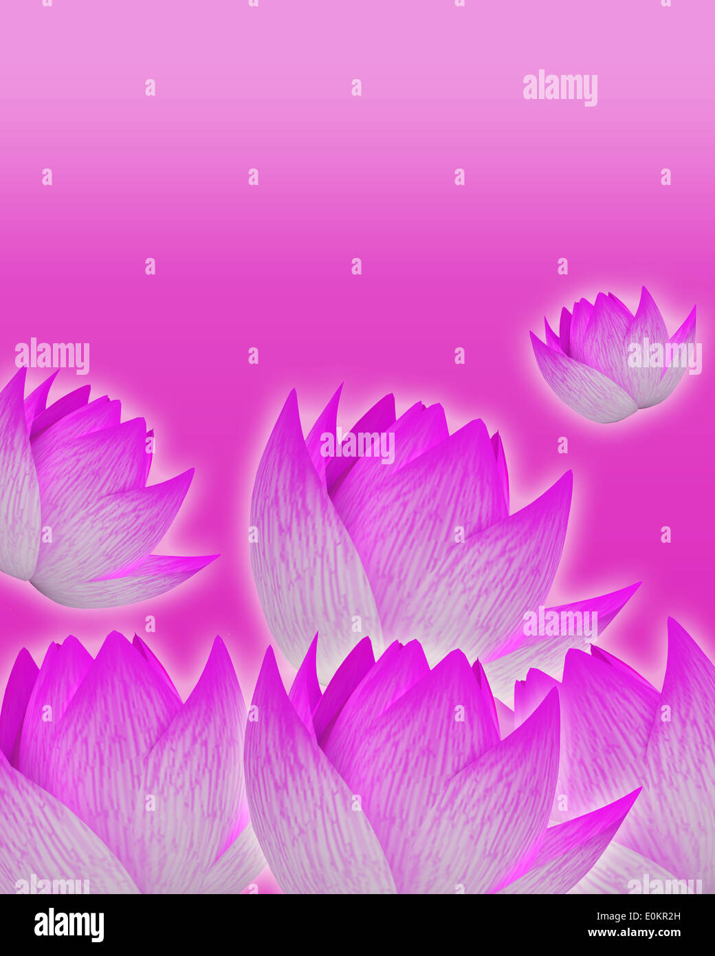 Pink background with tender pink flowers. Perfect for invitations or ...