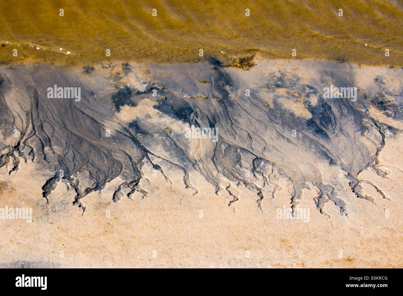 Erosion Structures In Tidal Sea Stock Photo - Alamy