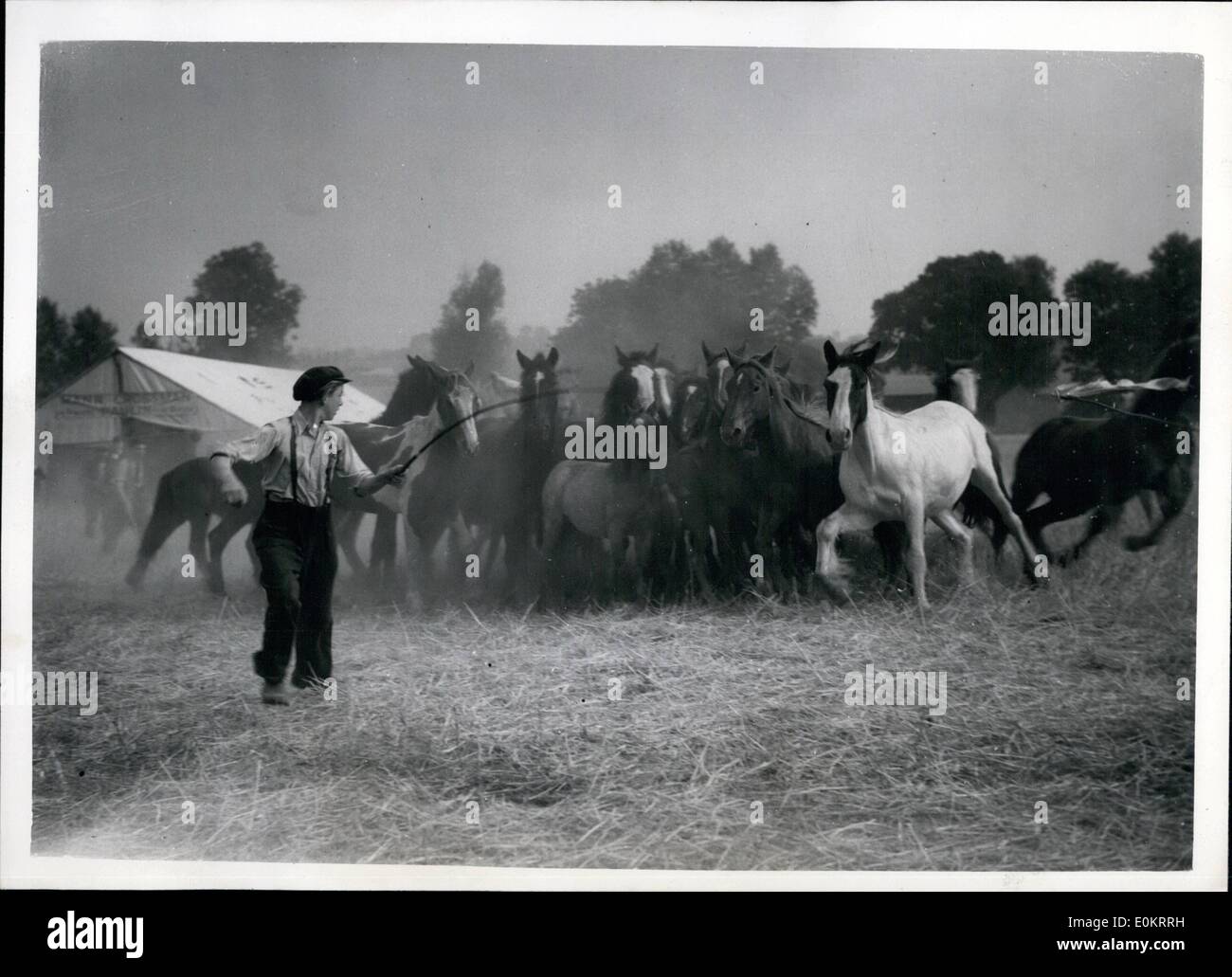 Sep. 09, 1947 - Barnet's 700 year old Cattle and pleasure fair opens ...