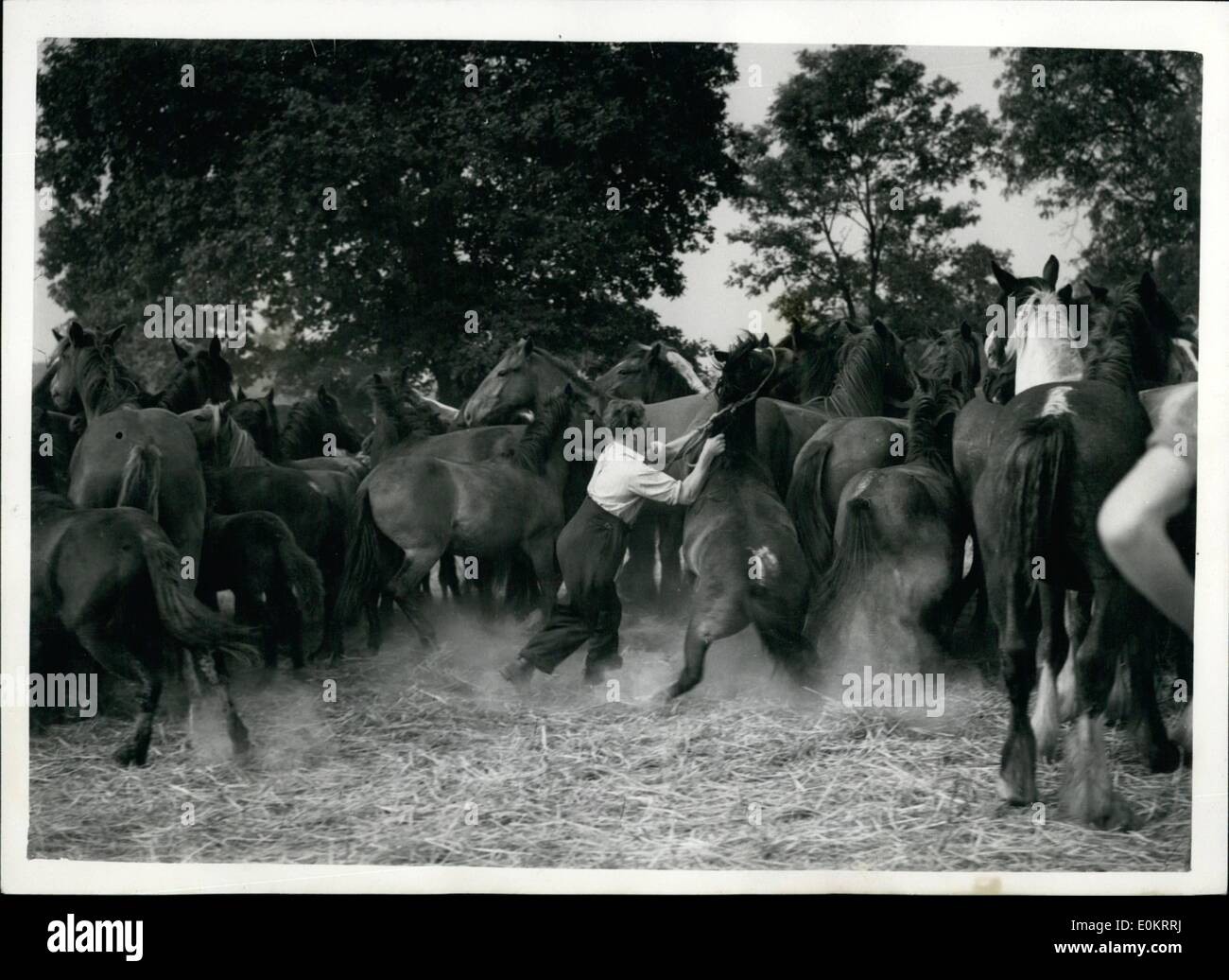 Sep. 09, 1947 - 700 Years Old Cattle And Pleasure Fair Opened AT Barnet ...