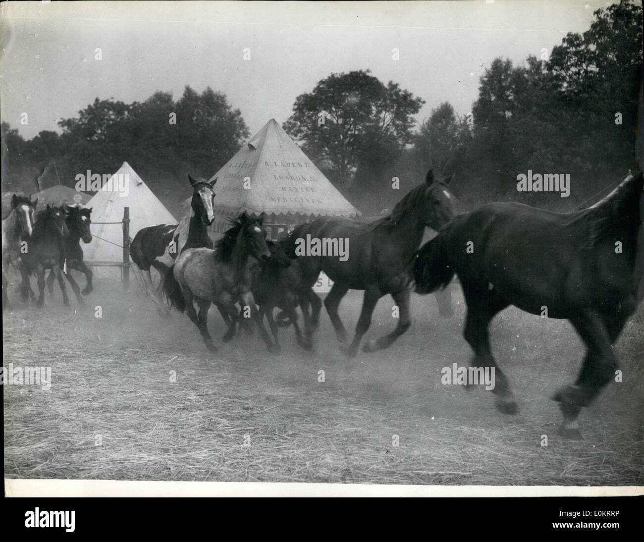Sep. 09, 1947 - Barnet's 700 years old cattle and pleasure fair opens ...