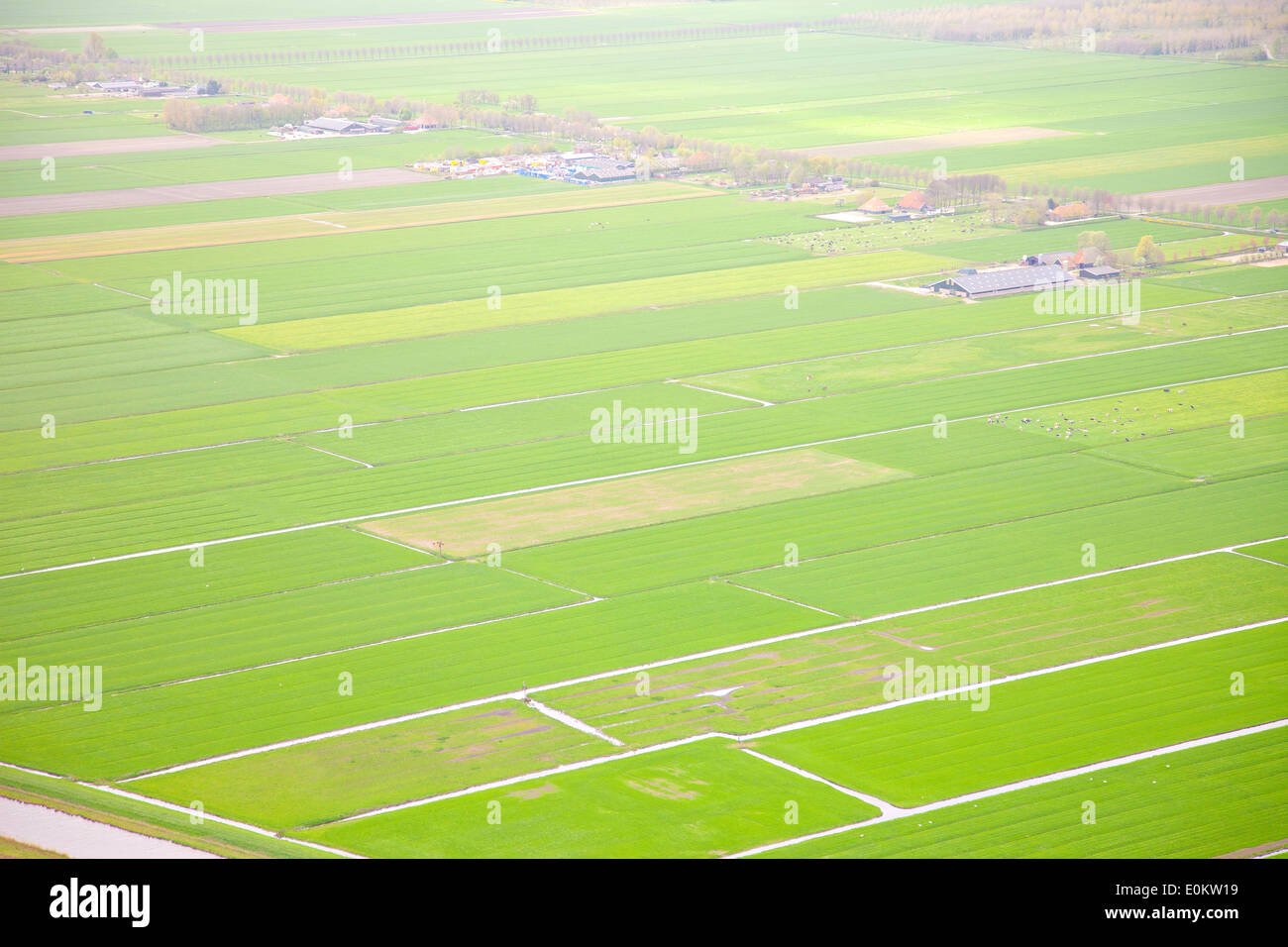 Dutch farm landscape from above, The Netherlands Stock Photo - Alamy