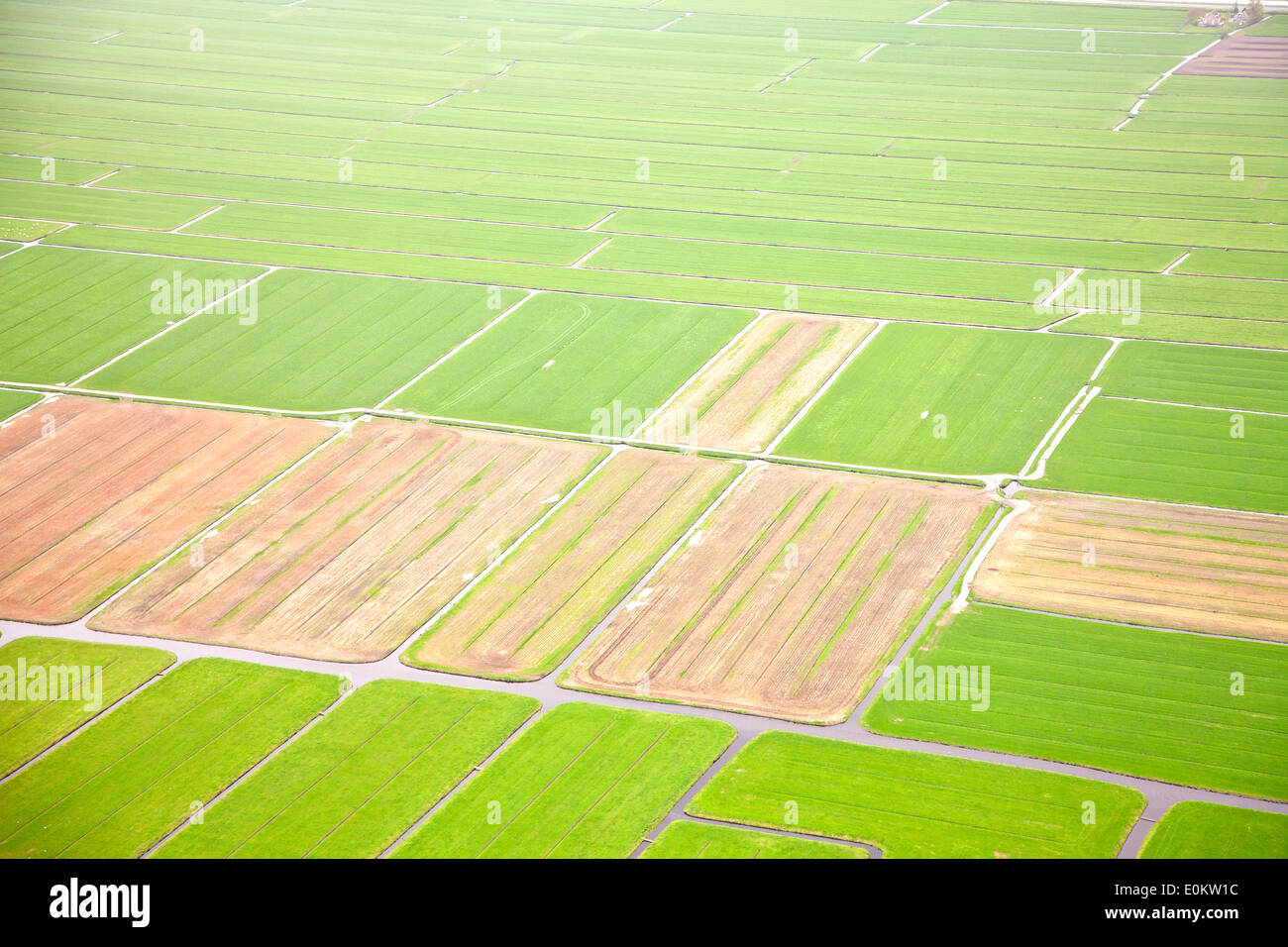 Dutch farm landscape from above, The Netherlands Stock Photo - Alamy