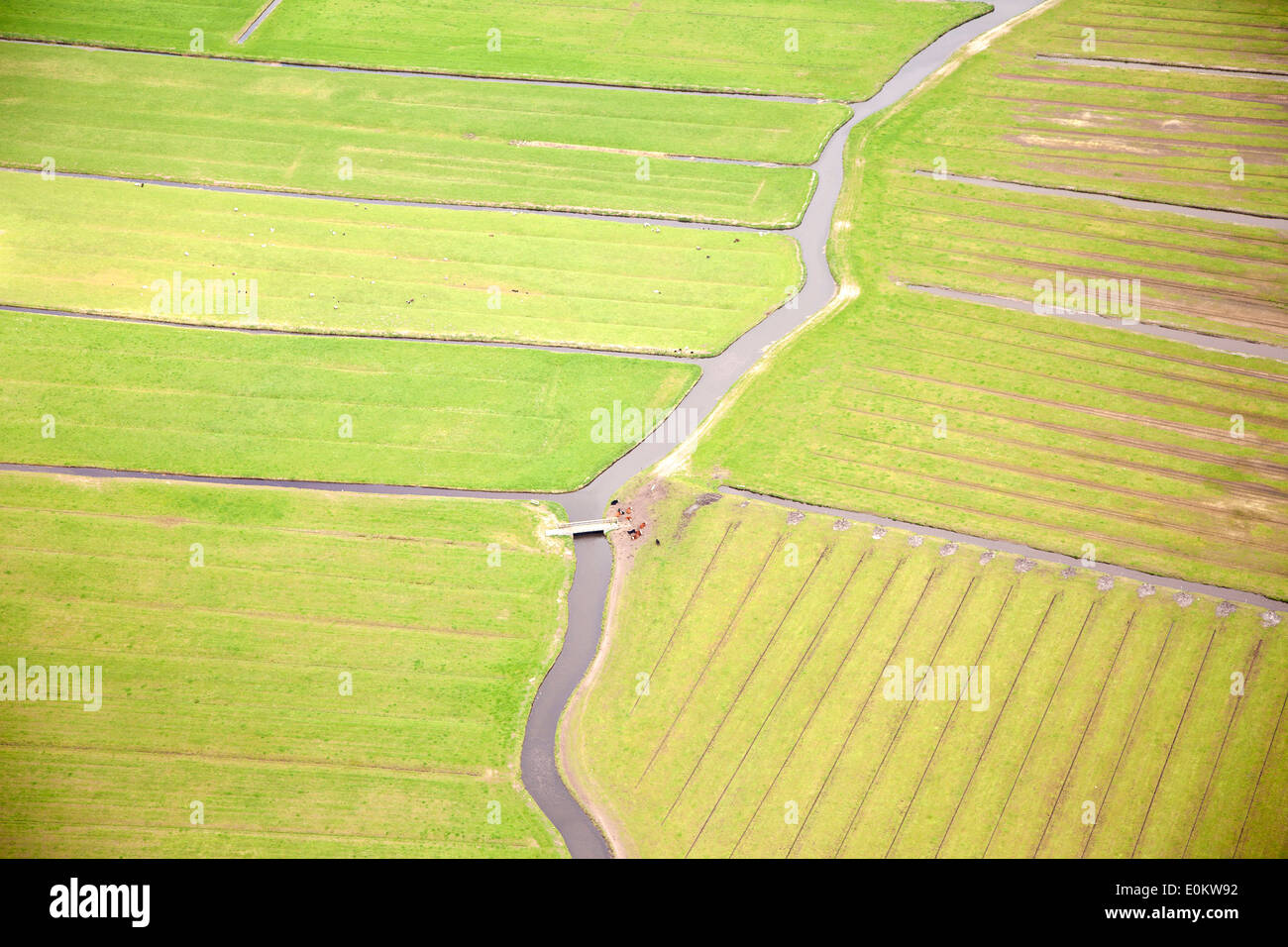 Green landscape with water and bridge from above, The Netherlands Stock ...