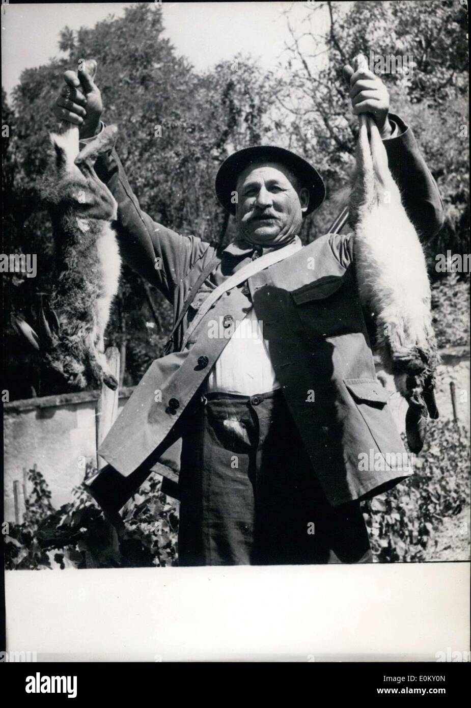 Rabbit catcher hi-res stock photography and images - Alamy