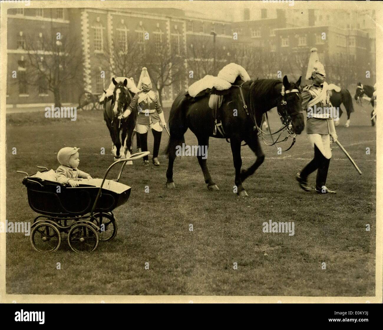 Horses at bray hi-res stock photography and images - Alamy
