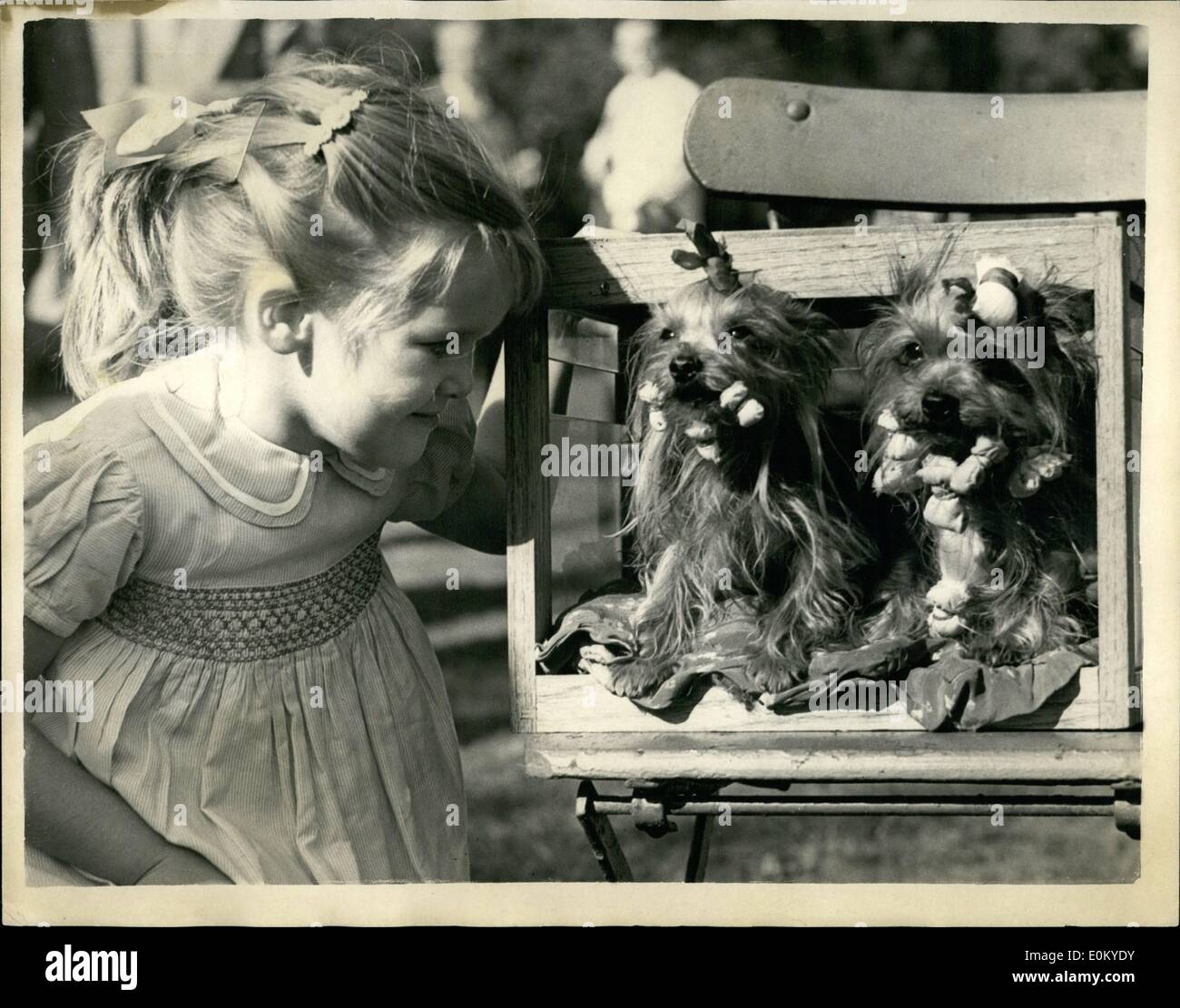 Sep. 09, 1952 - The Wilesden Show At Round wood Park: Photo Shows 4 ...