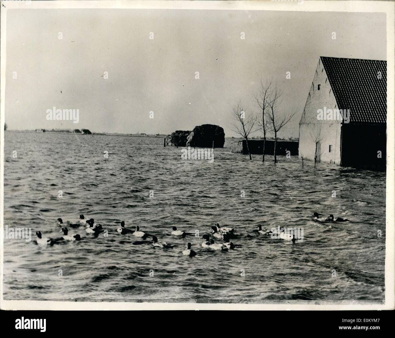 Feb. 02, 1953 - Fight to save thousands in Dutch floods: The death roll ...