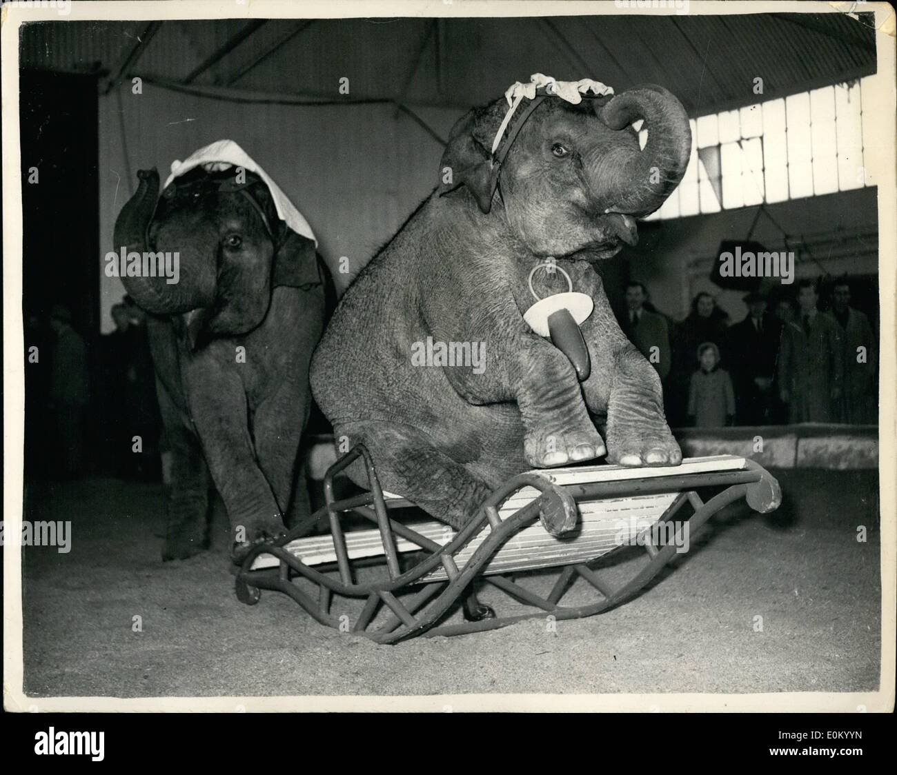 Dec. 12, 1952 - ''Rocking the baby'' elephants rehearse for this Mills ...