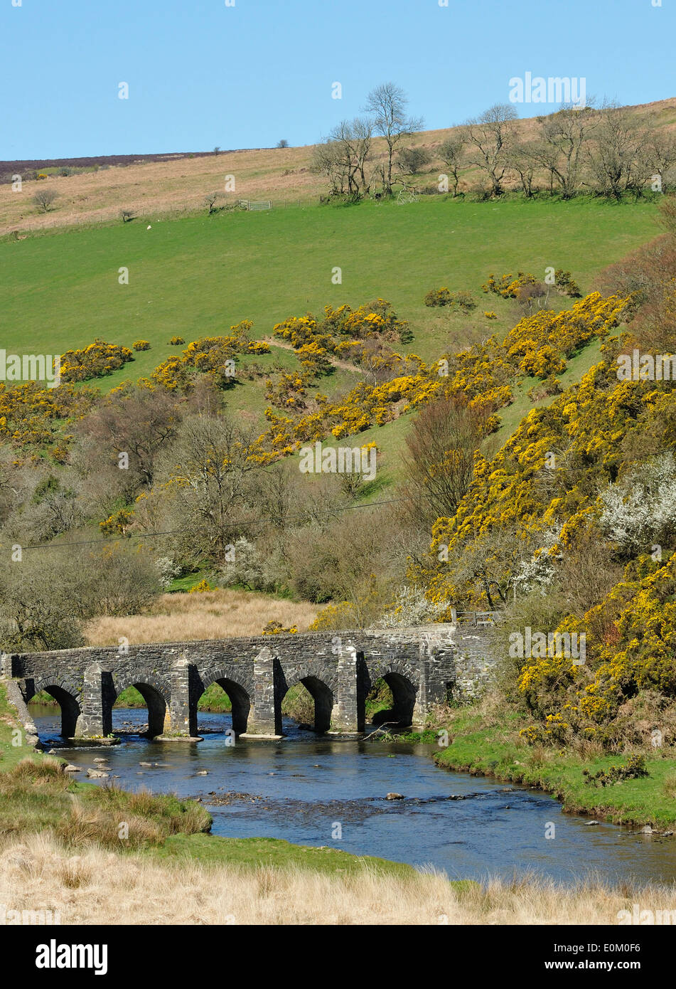 Landacre Bridge over River Barle near Withypool Stock Photo - Alamy