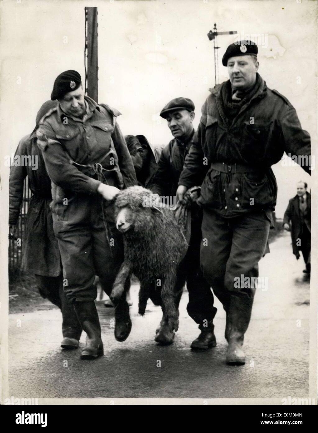 Operation livestock on isle shepey hi-res stock photography and images ...