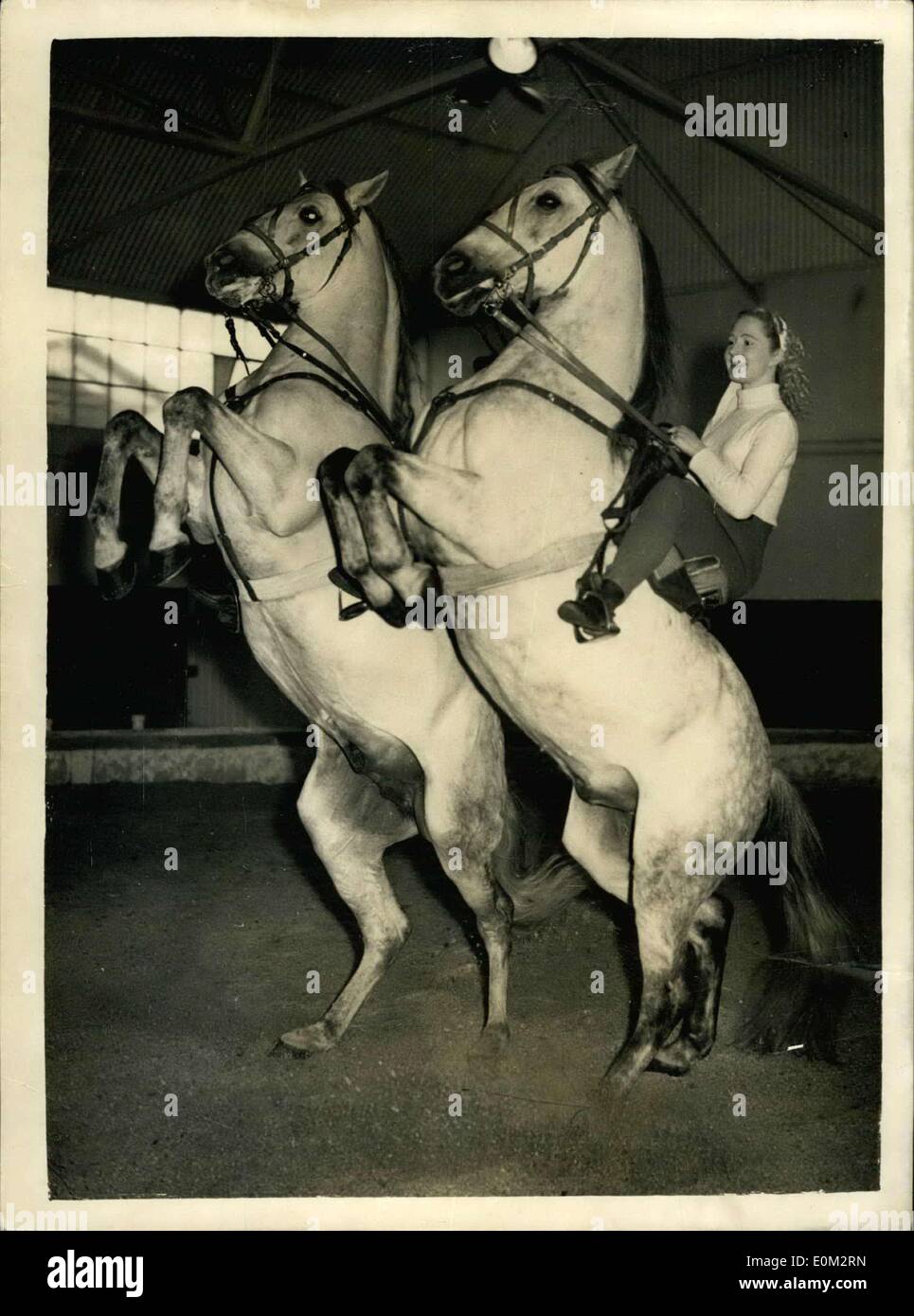 Circus act horse hi-res stock photography and images - Alamy