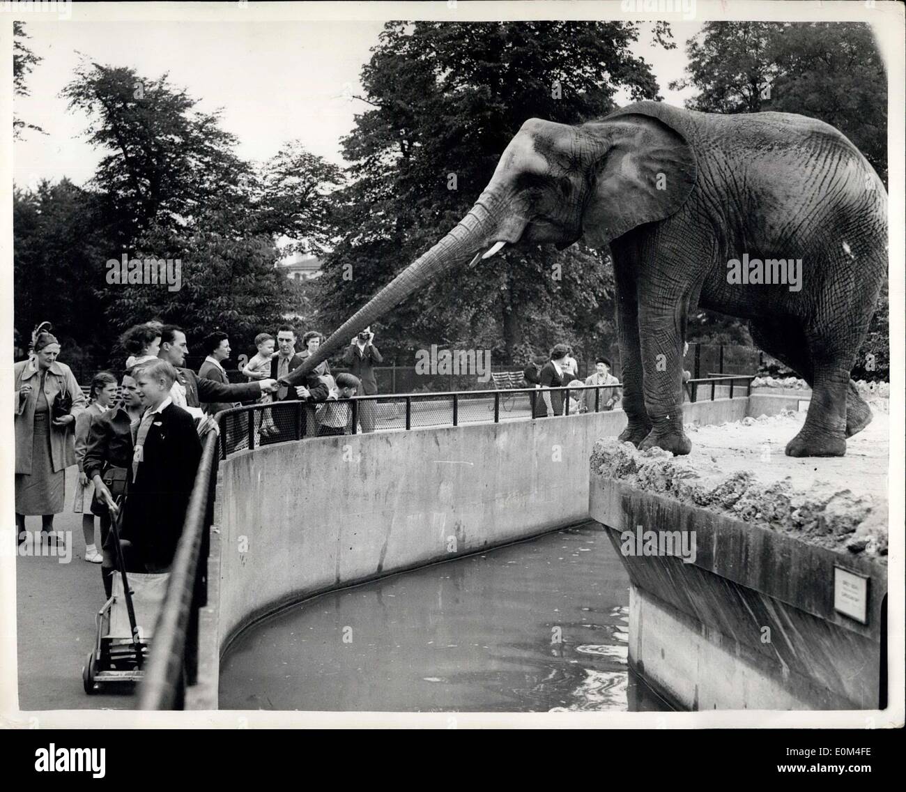 Jun. 27, 1953 - Two Ton Dicksie the Inquisitive elephant; Two ton ...