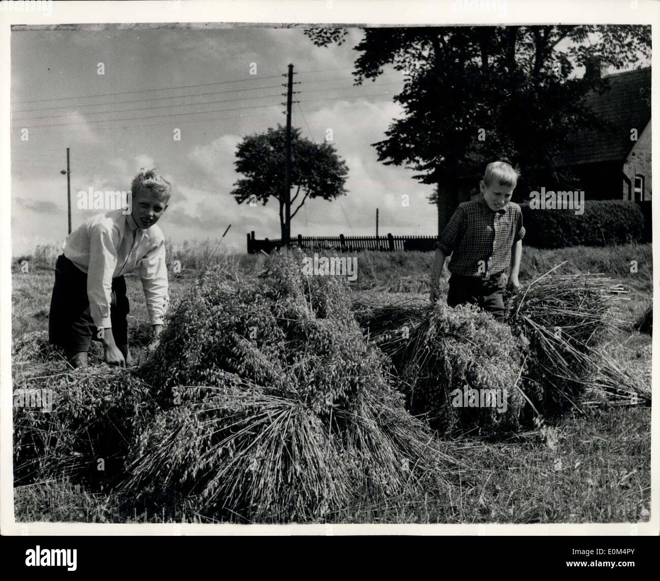 Aug. 07, 1953 - Danish Princes give a hand with the harvest: Prince ...