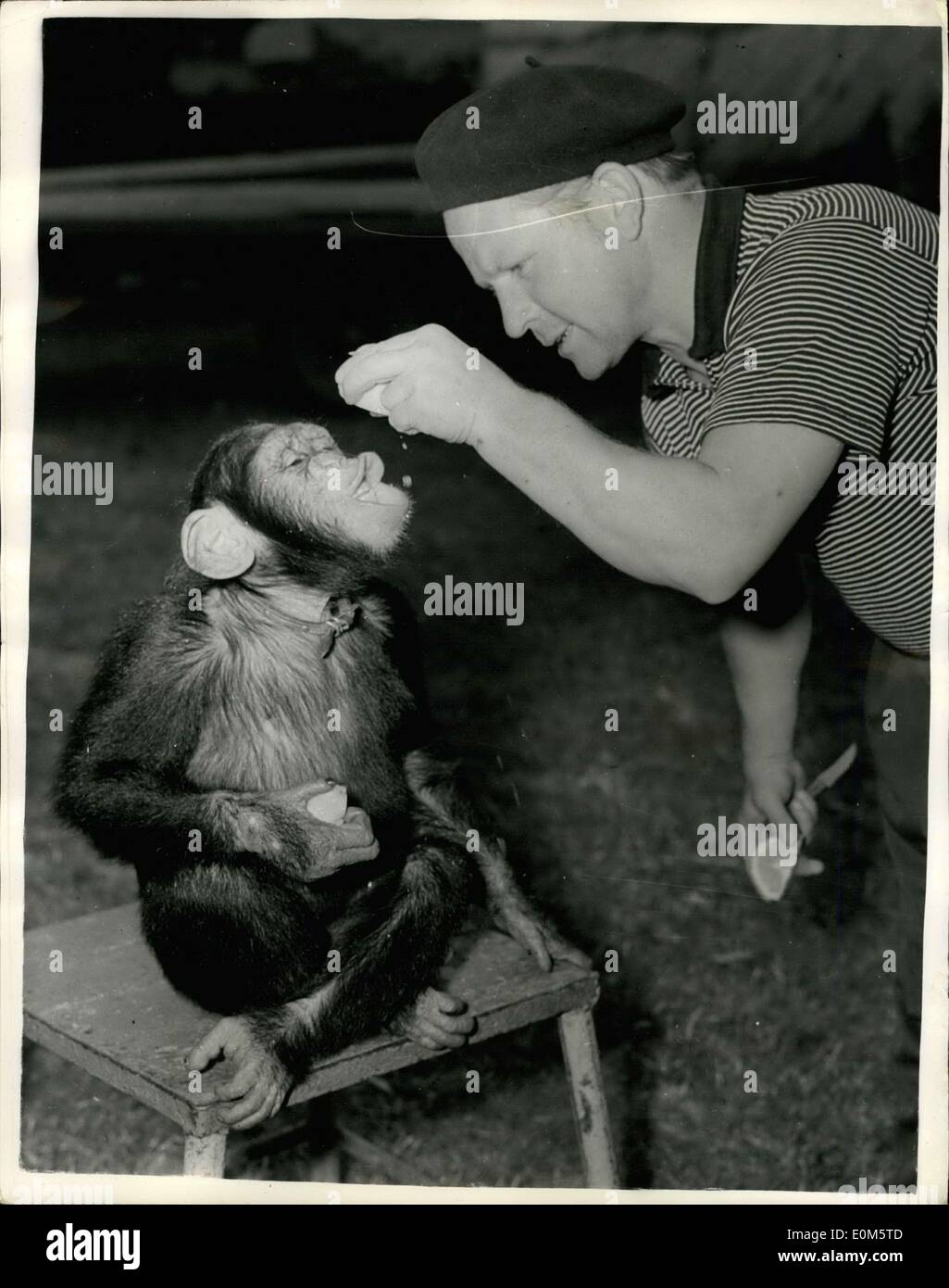Chimp circus hi-res stock photography and images - Alamy