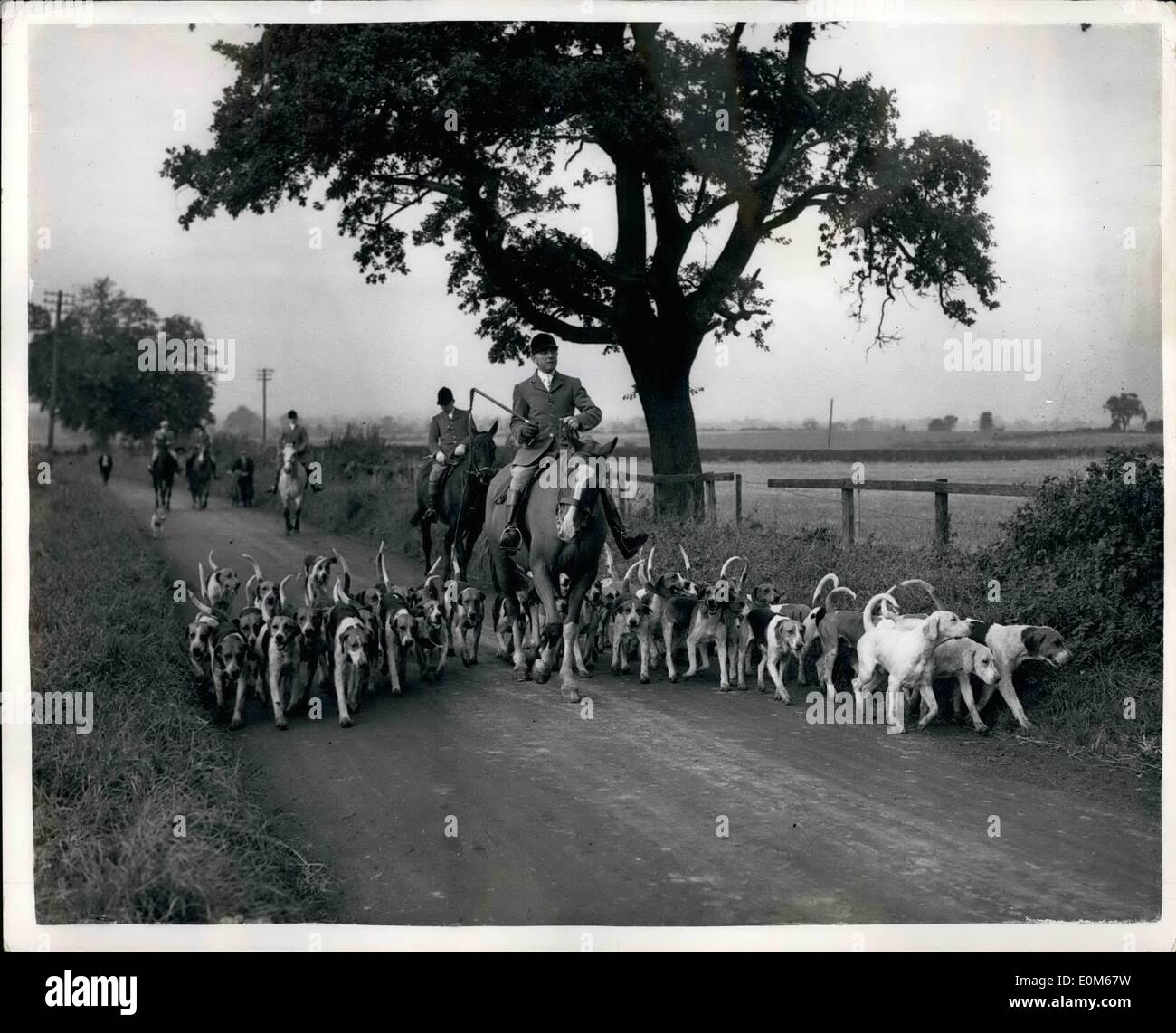 Sep. 09, 1953 - Early Morning Hunting With The Bramham Moor Hounds ...