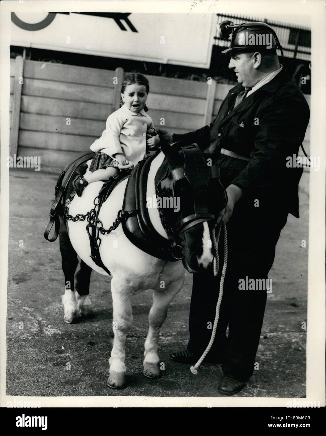 Oct. 10, 1953 - preparing for the ''Horse of the year'' show. The ...