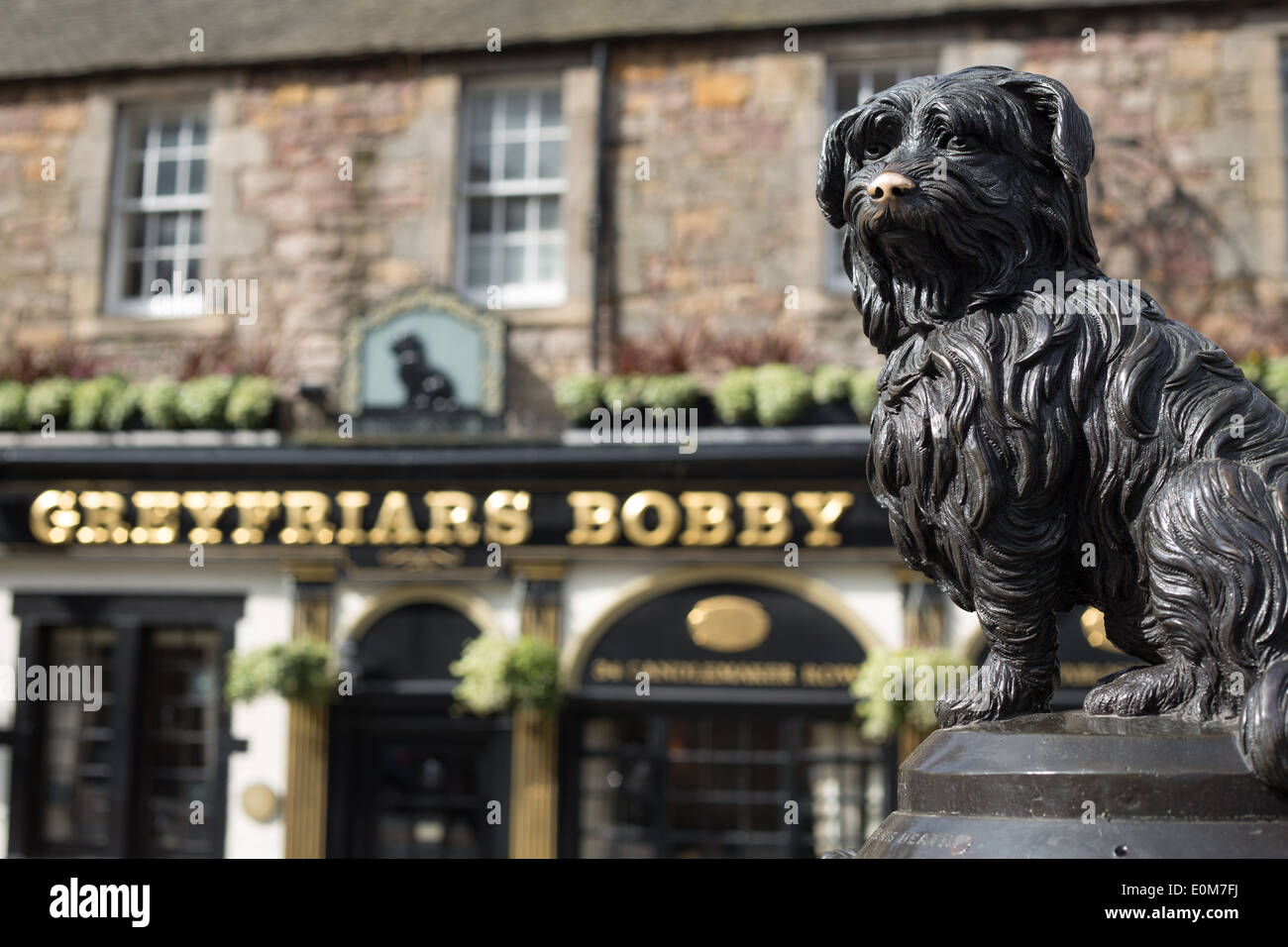 Greyfriars Bobby, in Edinburgh, Scotland Stock Photo - Alamy
