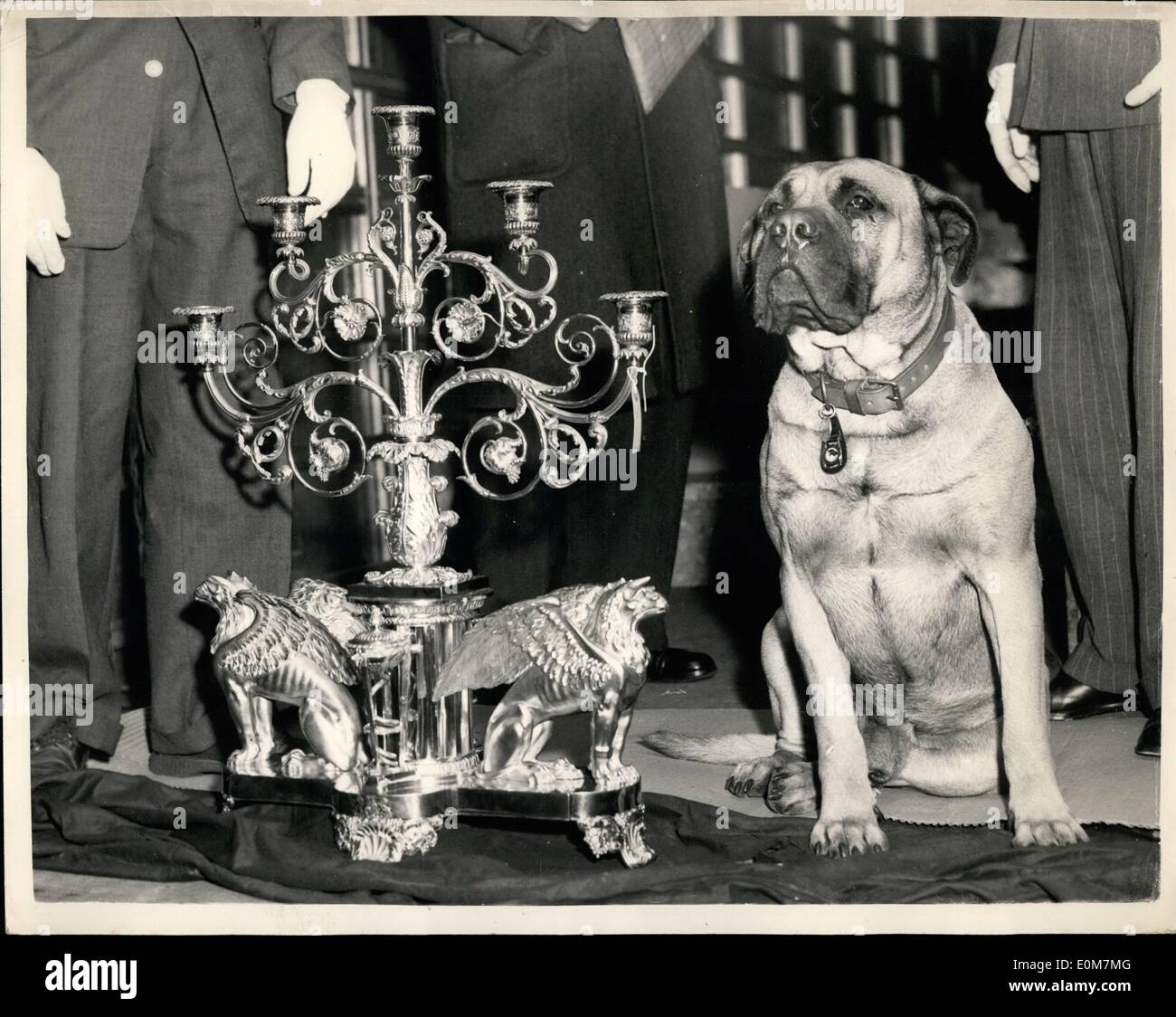 Dingaan simoa hi-res stock photography and images - Alamy