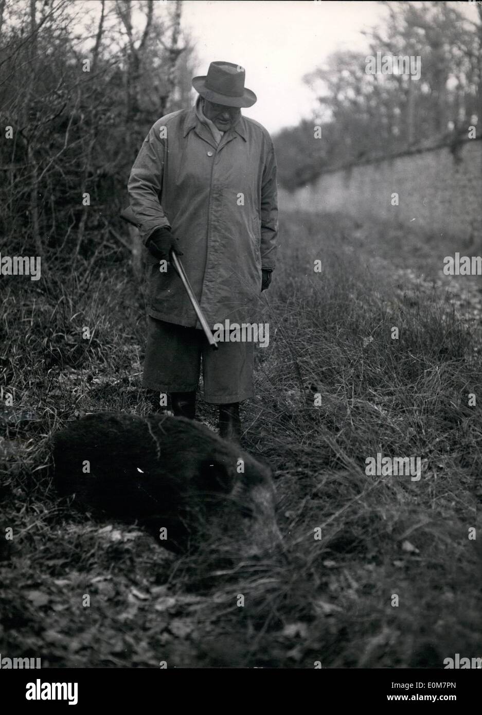 Jan. 01, 1954 - French Premier Goes wild Boar Hunting: M. Joseph Laniel ...