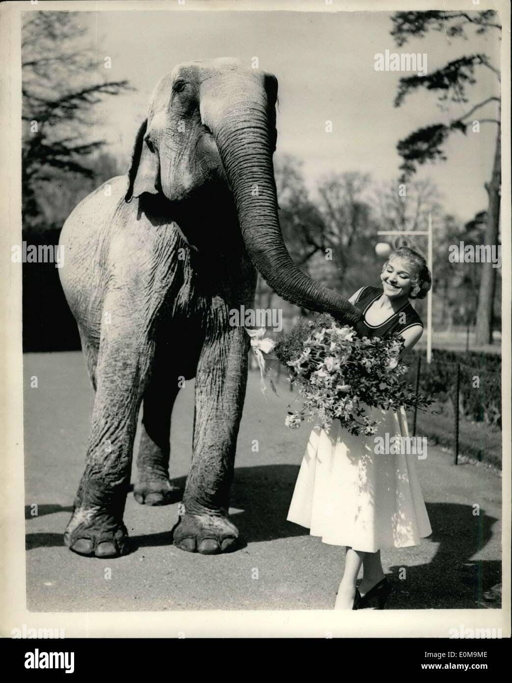 Apr. 13, 1954 - Karen Greer opens Chessington Zoo - for season ...