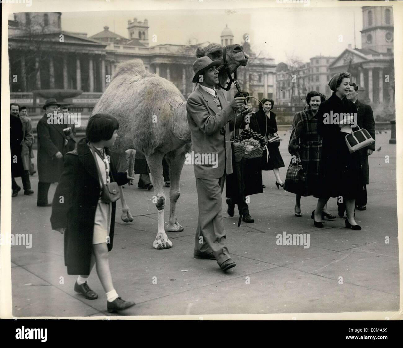 Al eyes debbo hi-res stock photography and images - Alamy