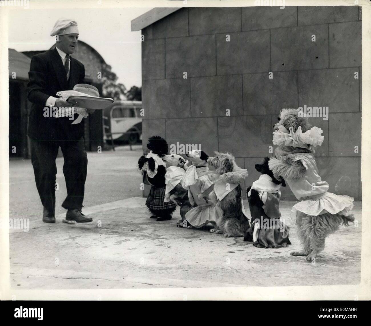 Ringmaster Circus High Resolution Stock Photography and Images - Alamy