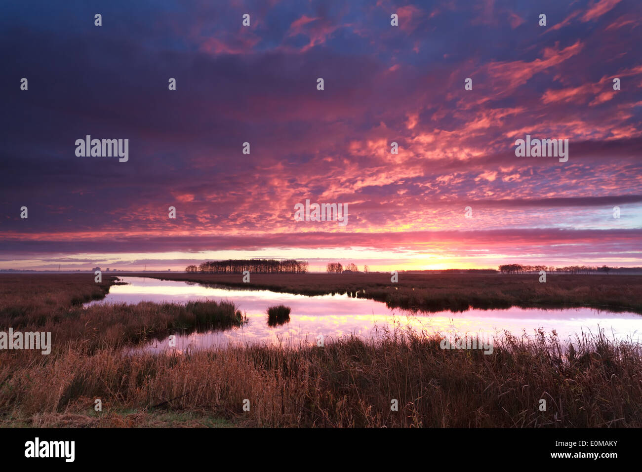 dramatic fire sunrise over river, Netherlands Stock Photo - Alamy