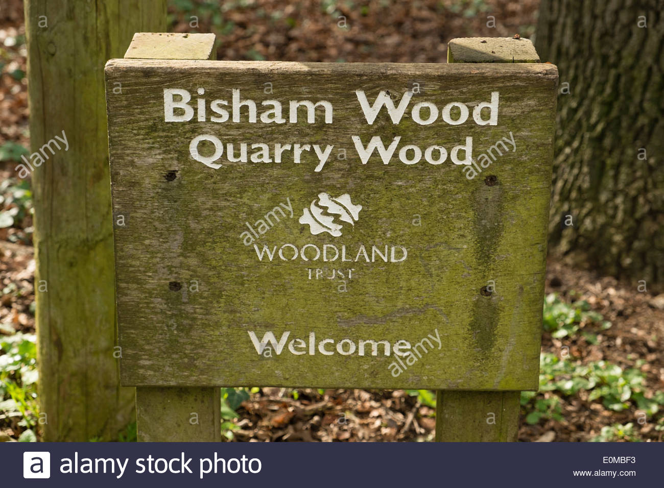 Cookham Wood Stock Photos & Cookham Wood Stock Images - Alamy