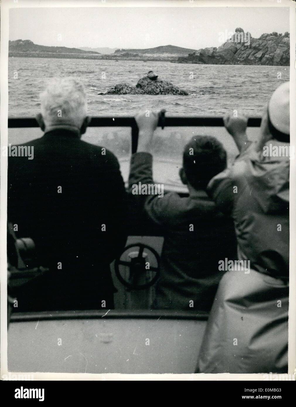 Jul. 19, 1954 - R.S.P.C.A.Continue Attempts to release ''Sally the Seal ...