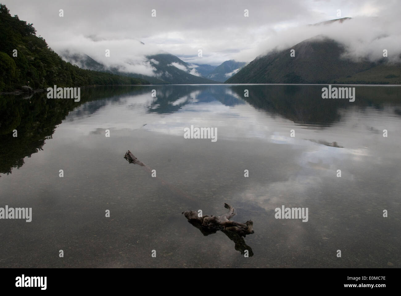 Lake Rotoiti, Nelson Lakes National Park, New Zealand Stock Photo - Alamy