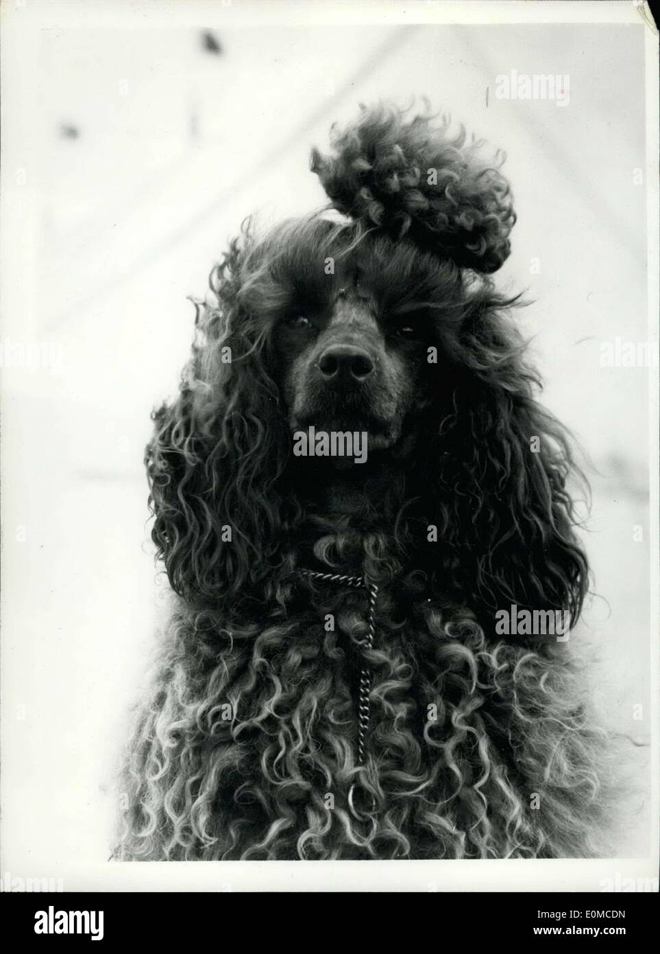 Rushmoor arena hi-res stock photography and images - Alamy