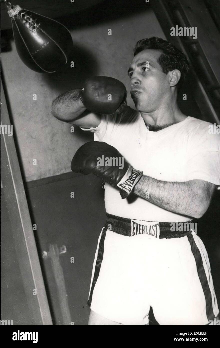 Paddi de marco beging training hi-res stock photography and images - Alamy