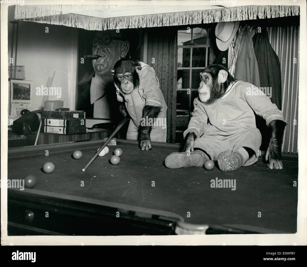 Now that circus season has ended hi-res stock photography and images ...