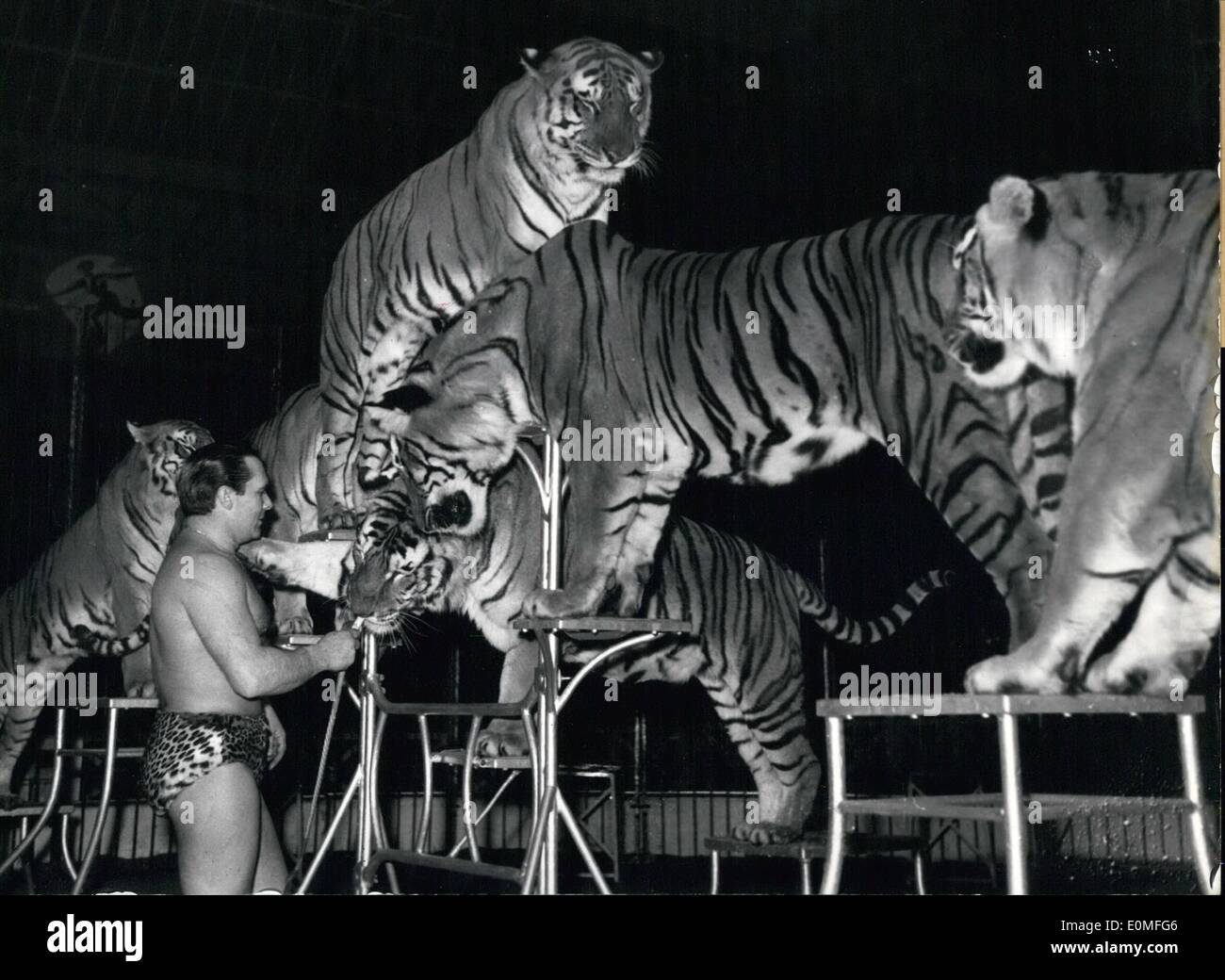 Circus Tamer High Resolution Stock Photography and Images - Alamy