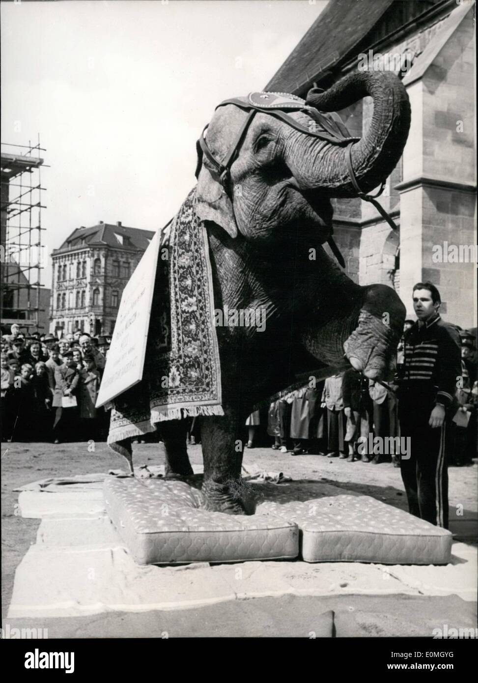 Elephant tests mattress hi-res stock photography and images - Alamy