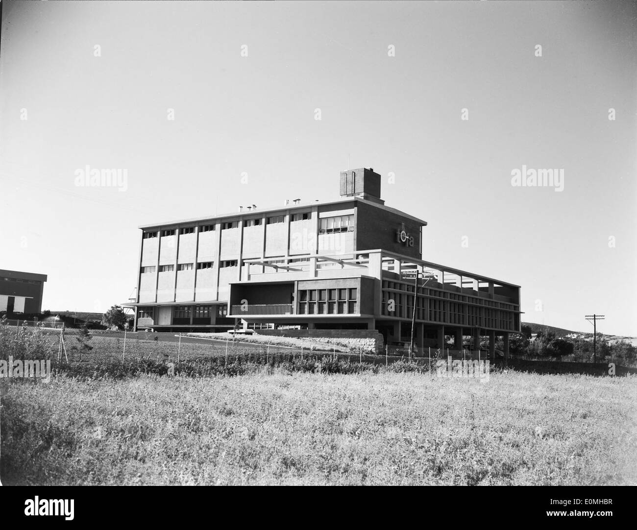 Tofa High Resolution Stock Photography and Images - Alamy