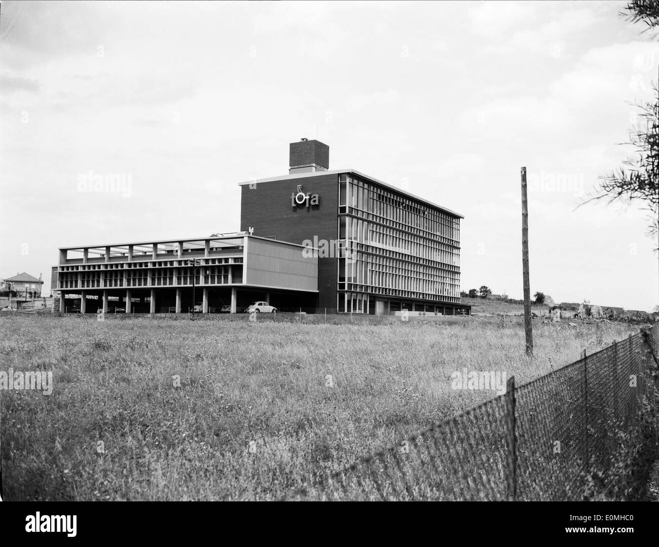 Tofa High Resolution Stock Photography and Images - Alamy