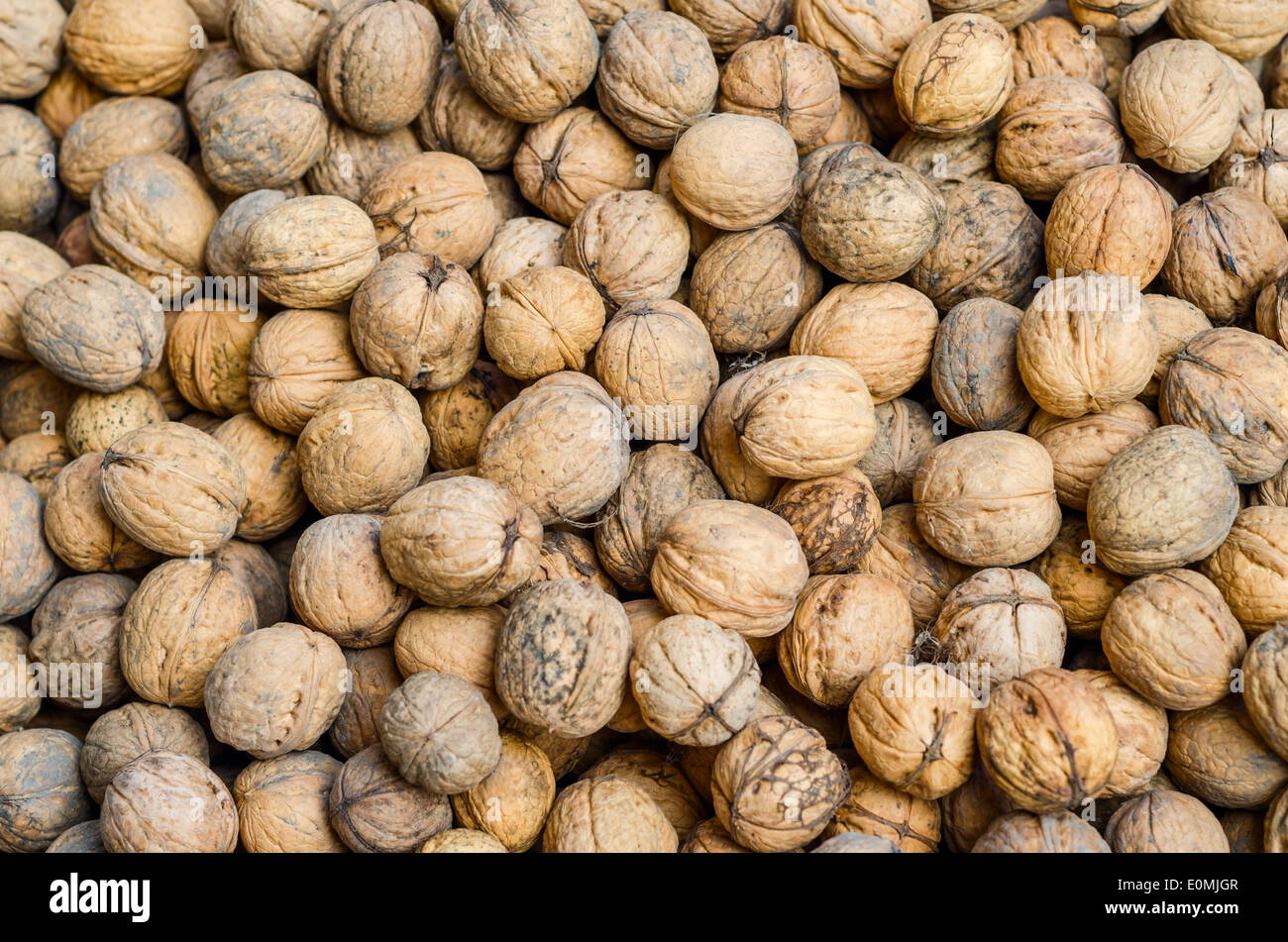 Walnut background. Lots of fresh walnuts in their shells Stock Photo ...